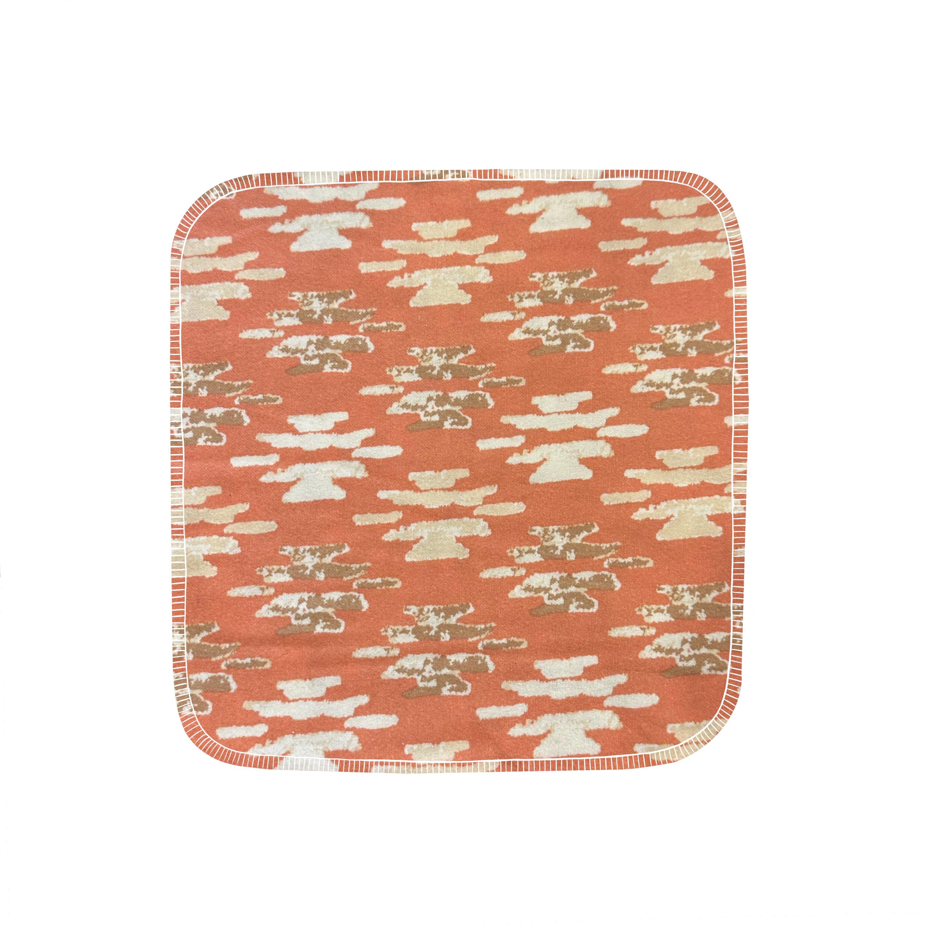 Reusable Paper Towels--Coral Aztec – Porter Lee's